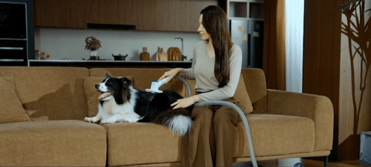 Cozy C1 Animal Grooming Vacuum, Dog Clipper And Vacuum – oneisall