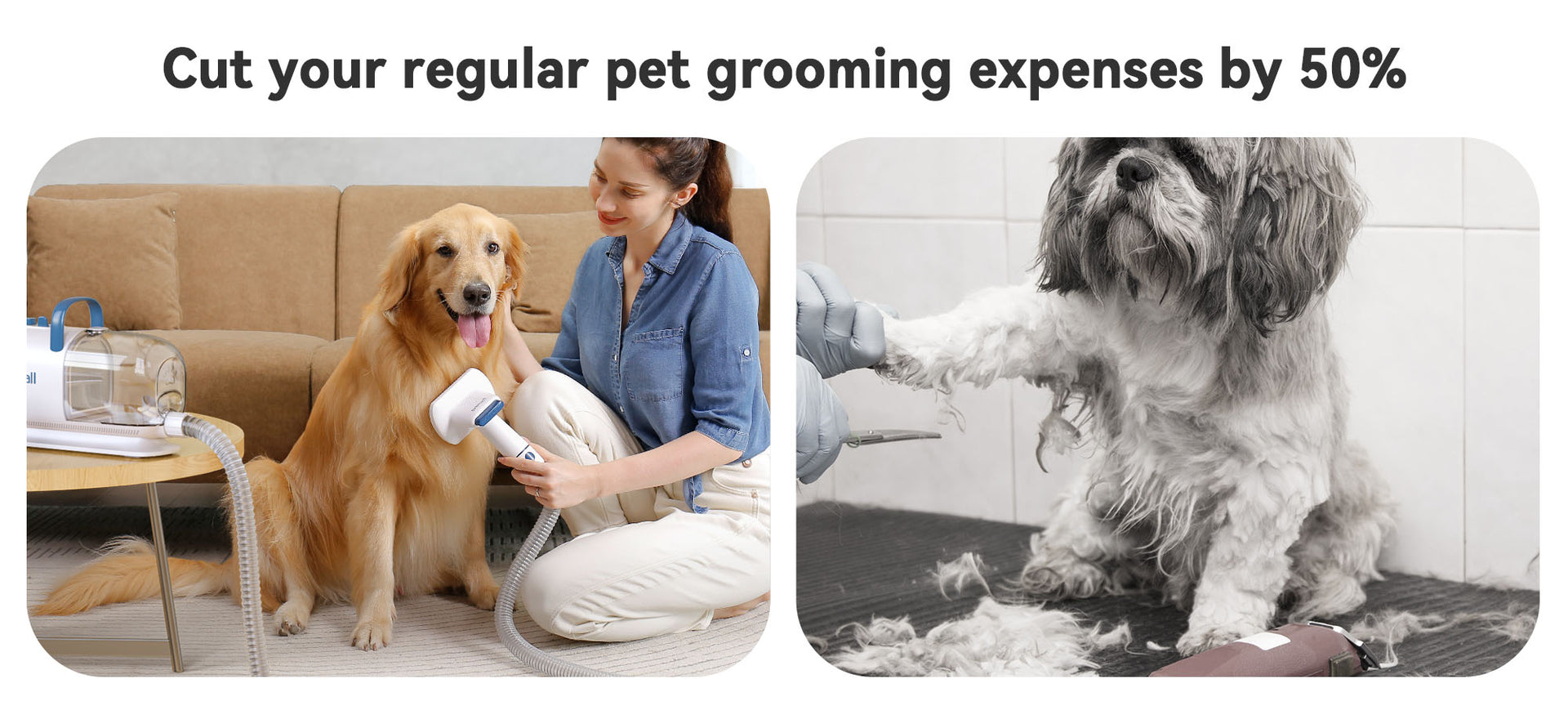 Cozy C1 Animal Grooming Vacuum, Dog Clipper And Vacuum – oneisall