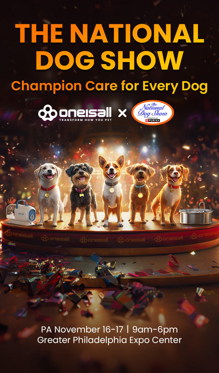 National Dog Show – oneisall