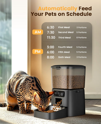 Shop Oneisall Automatic Cat Feeder – Timed Feed Control – oneisall